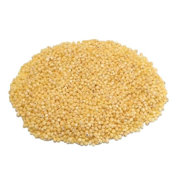 Semilla de Mijo Amarillo 1 Kg Granel – Tujilguero